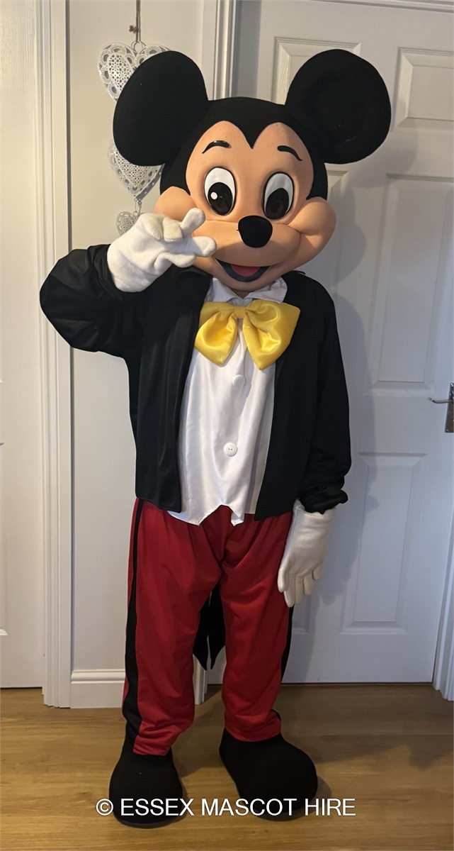 Mascot Hire Essex - Fun and Affordable Mascot Costume Hire