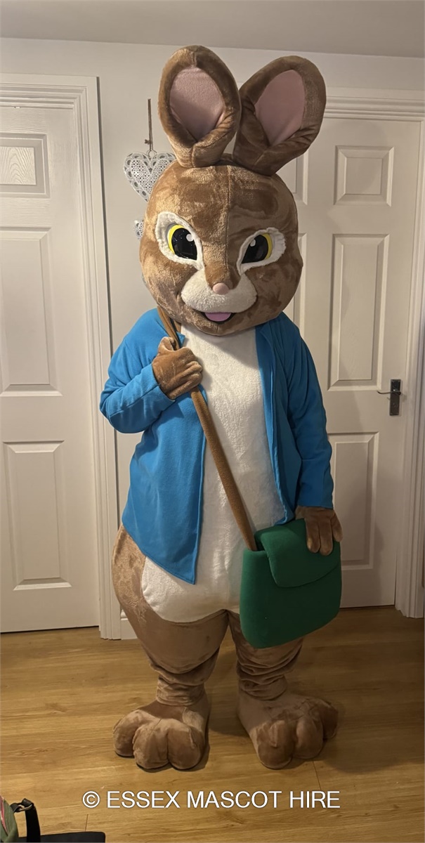 Mascot Hire Essex - Fun and Affordable Mascot Costume Hire