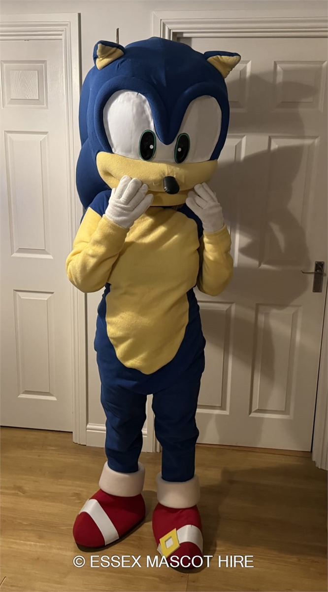 Sonic Mascot Hire - Hire in Essex | ESSEX MASCOT HIRE